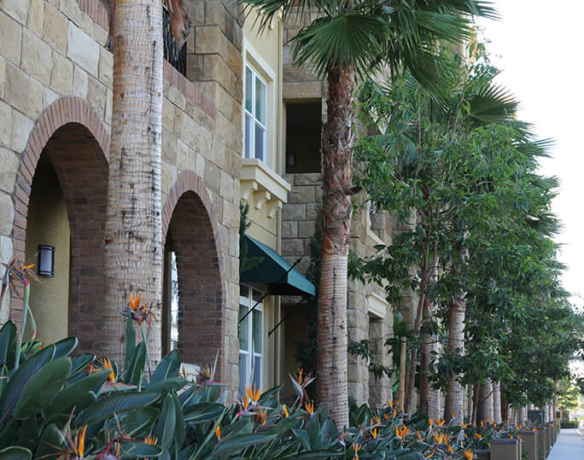Multi-Family Housing Landscape Projects | LandGraphics